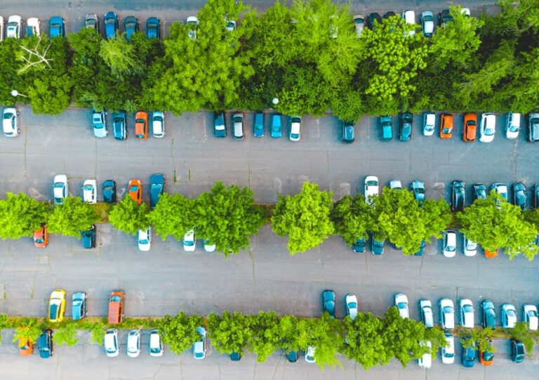 How To Choose The Best Parking Lot Trees For Your Business? - TheSBB